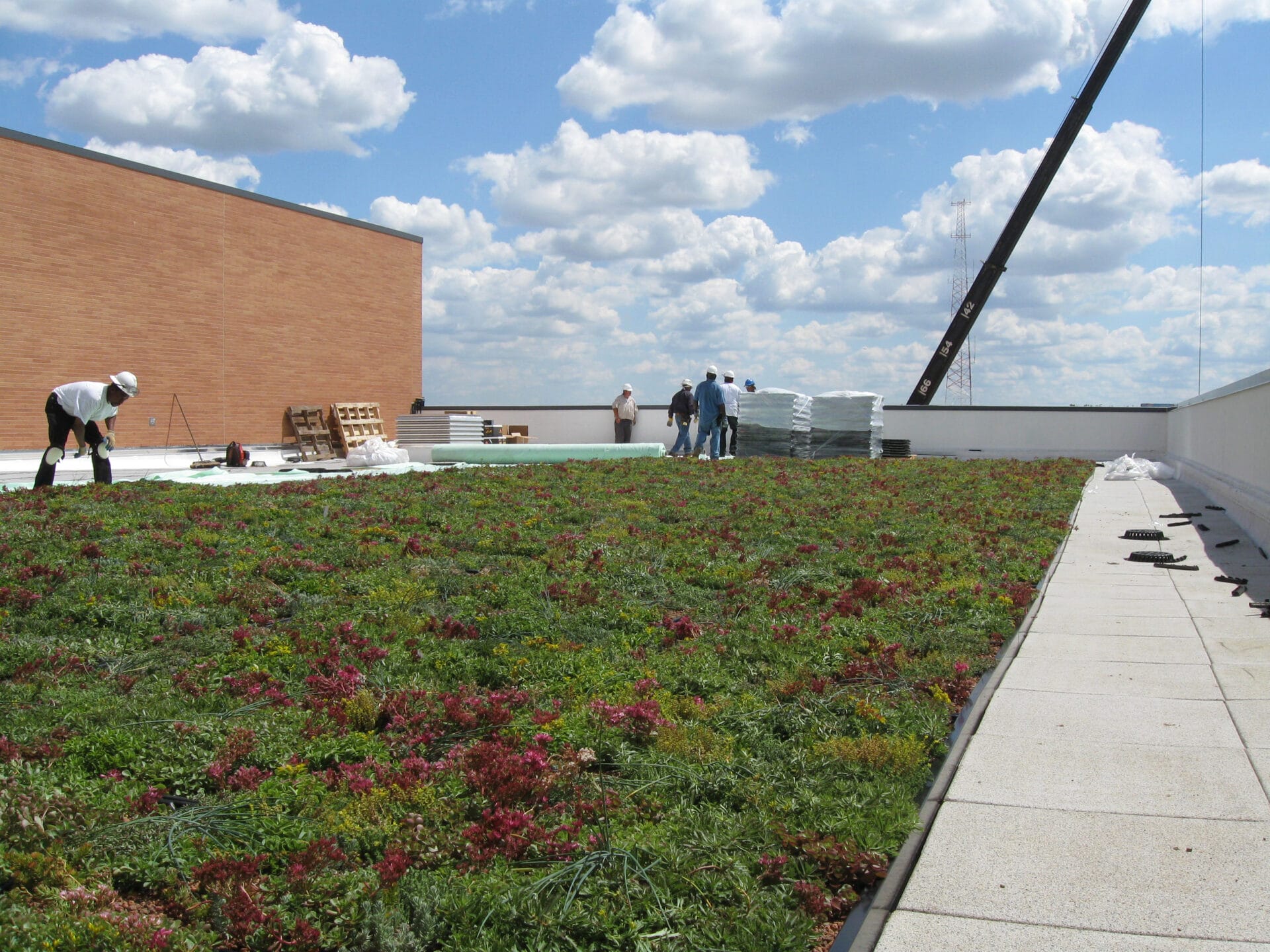 Green Roof Installation Guide & Support | GreenGrid® Roof